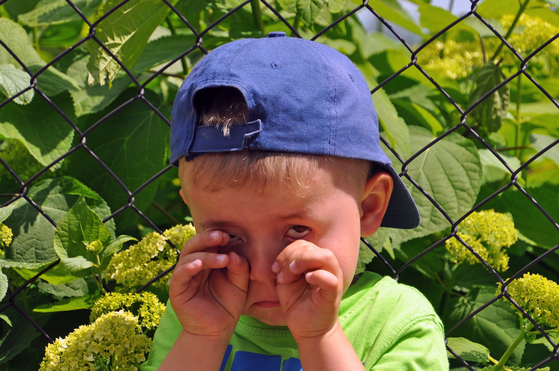 Don’t cry… | Bridgett Miller